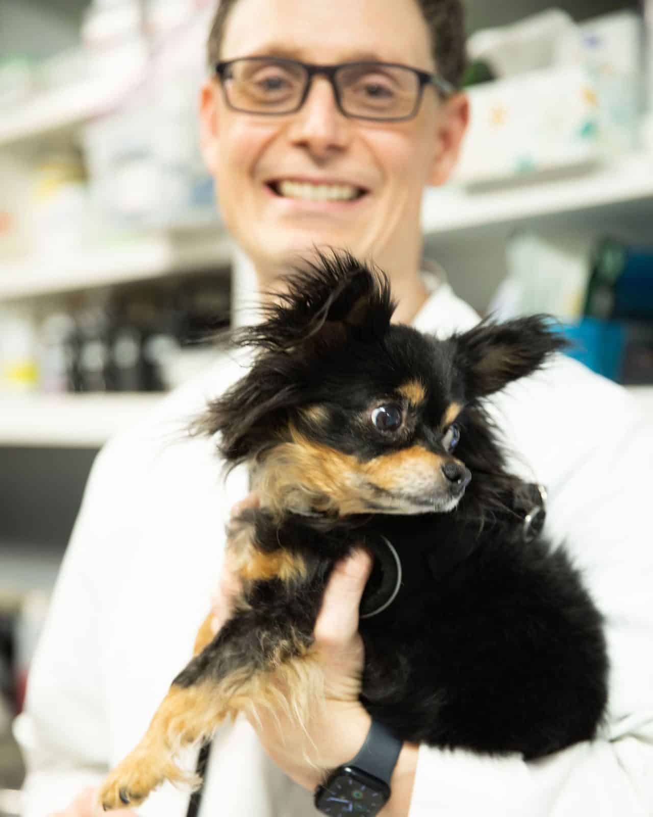 Veterinarians in Dacula GA - Pet Doctor - Dr. Corry