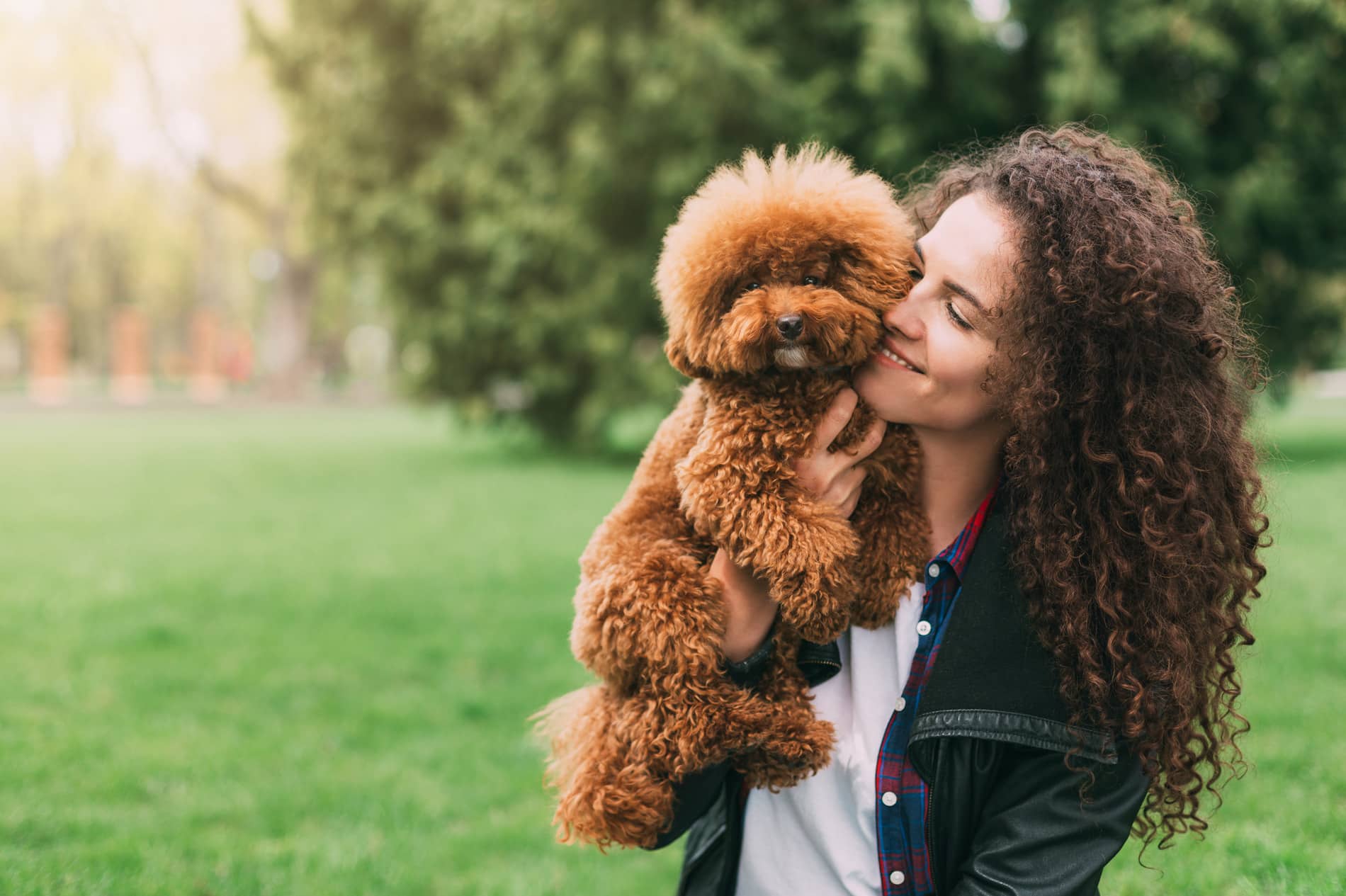 Veterinarian Ultrasound Dacula - Ultrasound for Dog Cat & Exotic Pets